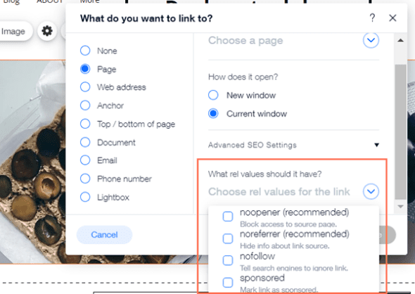 What Does rel=“noopener noreferrer” Mean for Link Building?